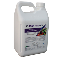 K-SOAP | ACI Algerie